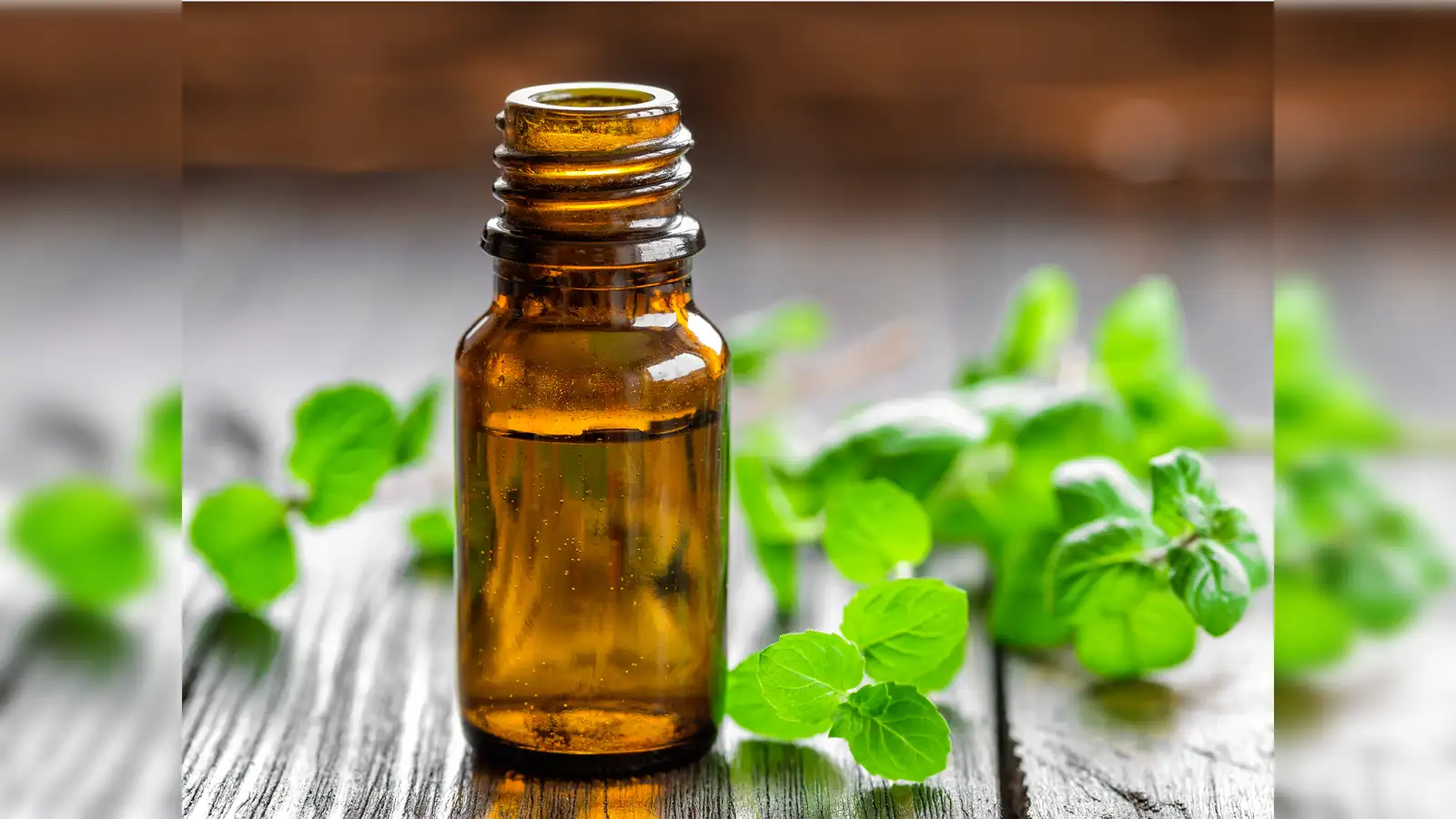 Mentha oil prices Mentha oil may test support at Rs 1 186 level The Economic Times