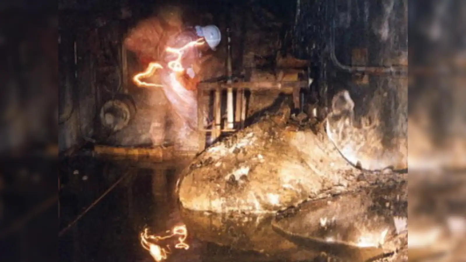 Il Piede Dell'elefante Chernobyl Medusa Il Piede Di Elefante Di