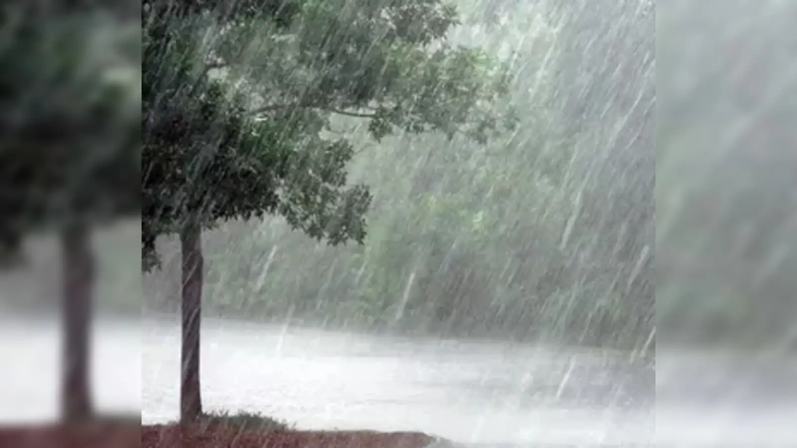 Monsoon Season Rain Top Places To Visit In India During Monsoon