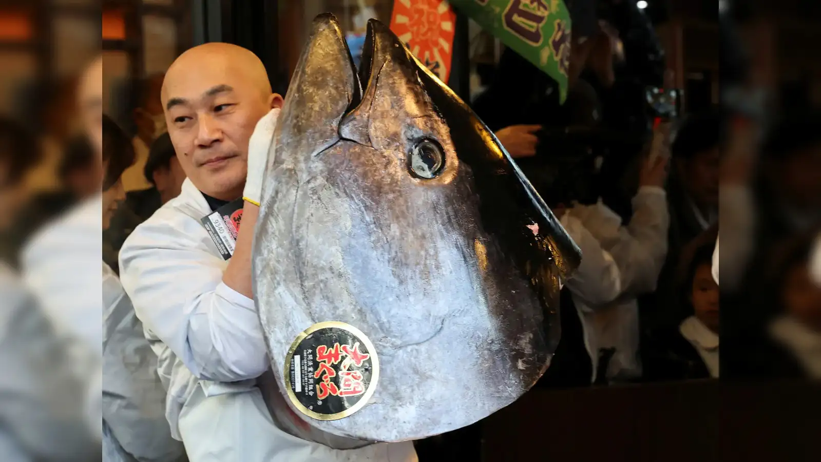 Giant Tuna Japan