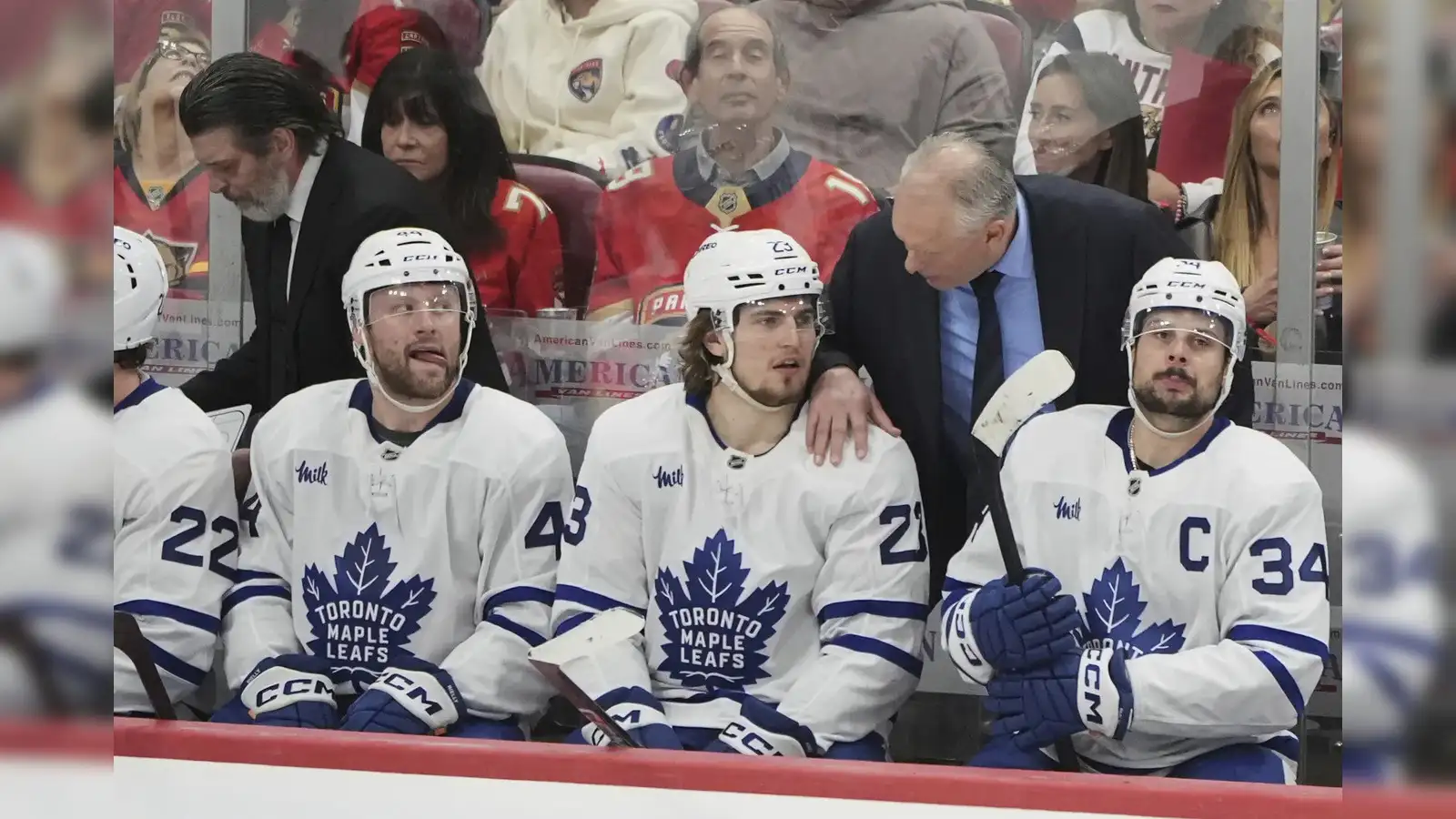 Toronto Maple Leafs Background