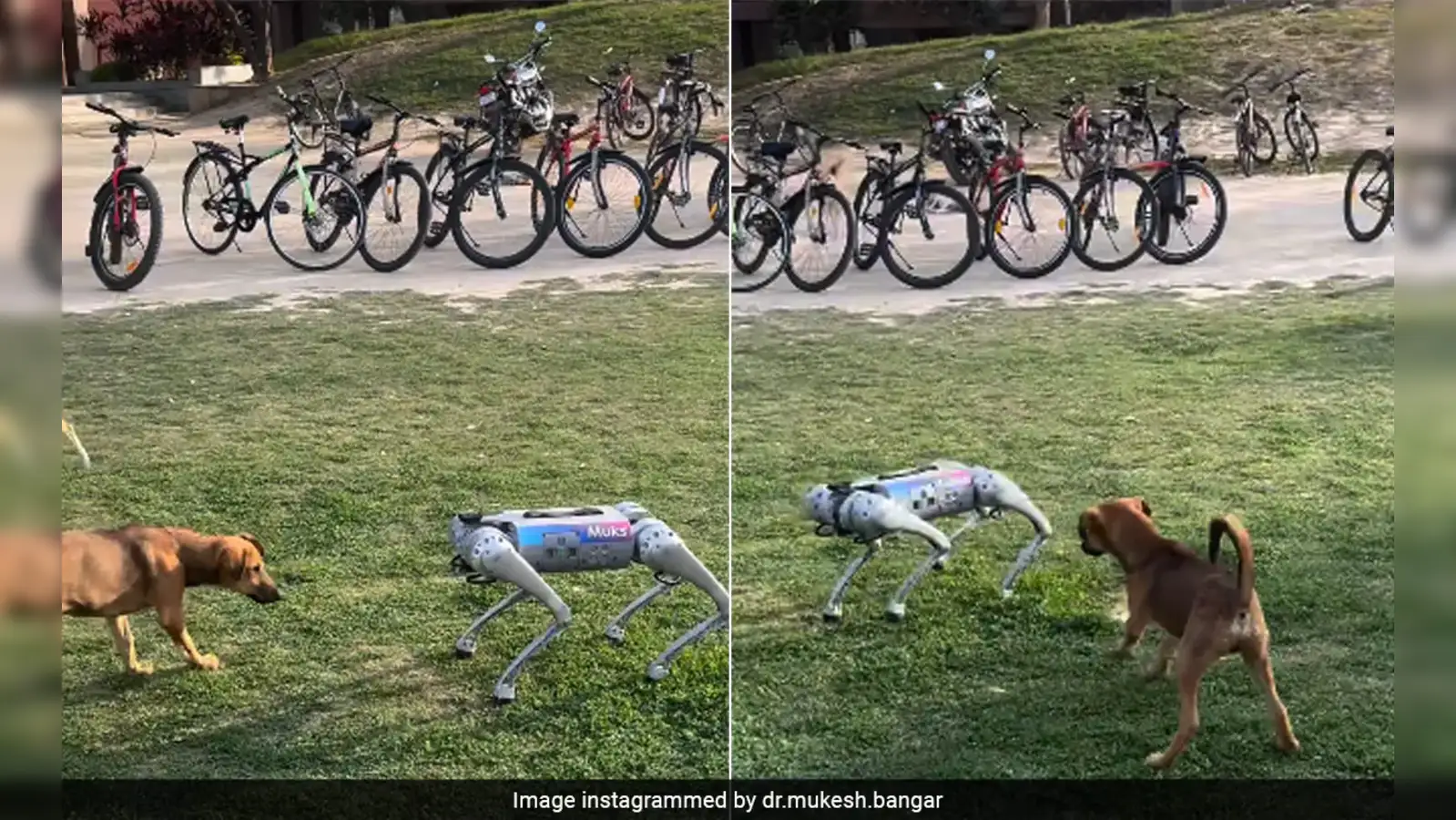 Memes Robo Bicicleta