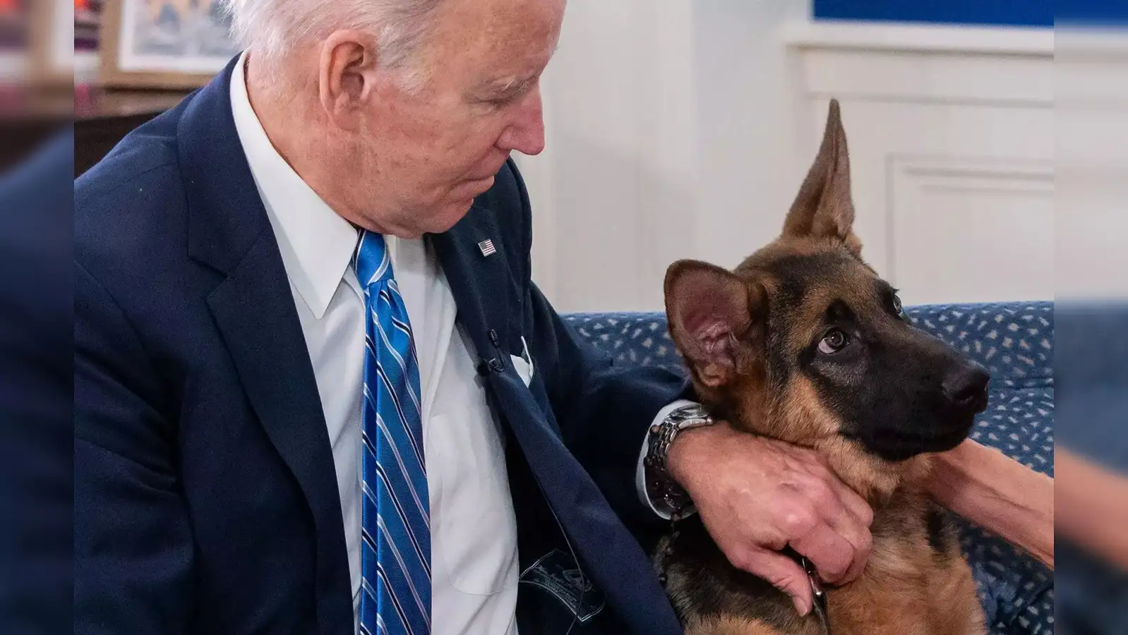 White House Secret Service Dogs We Are Deeply Saddened To Hear The