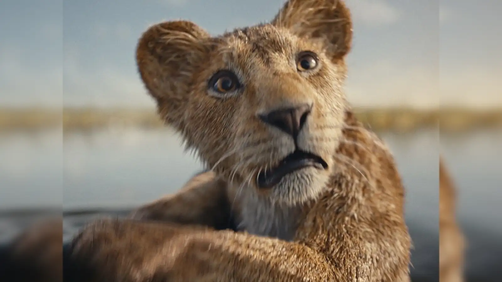 Simba The Lion King Hindi Cartoon Full Story You Full Movie ...