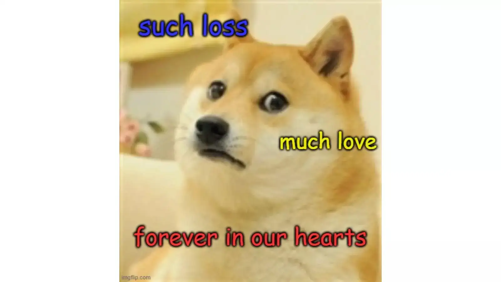 Shibe Doge Meme Achtergrond Doge Meme Created On Craiyon