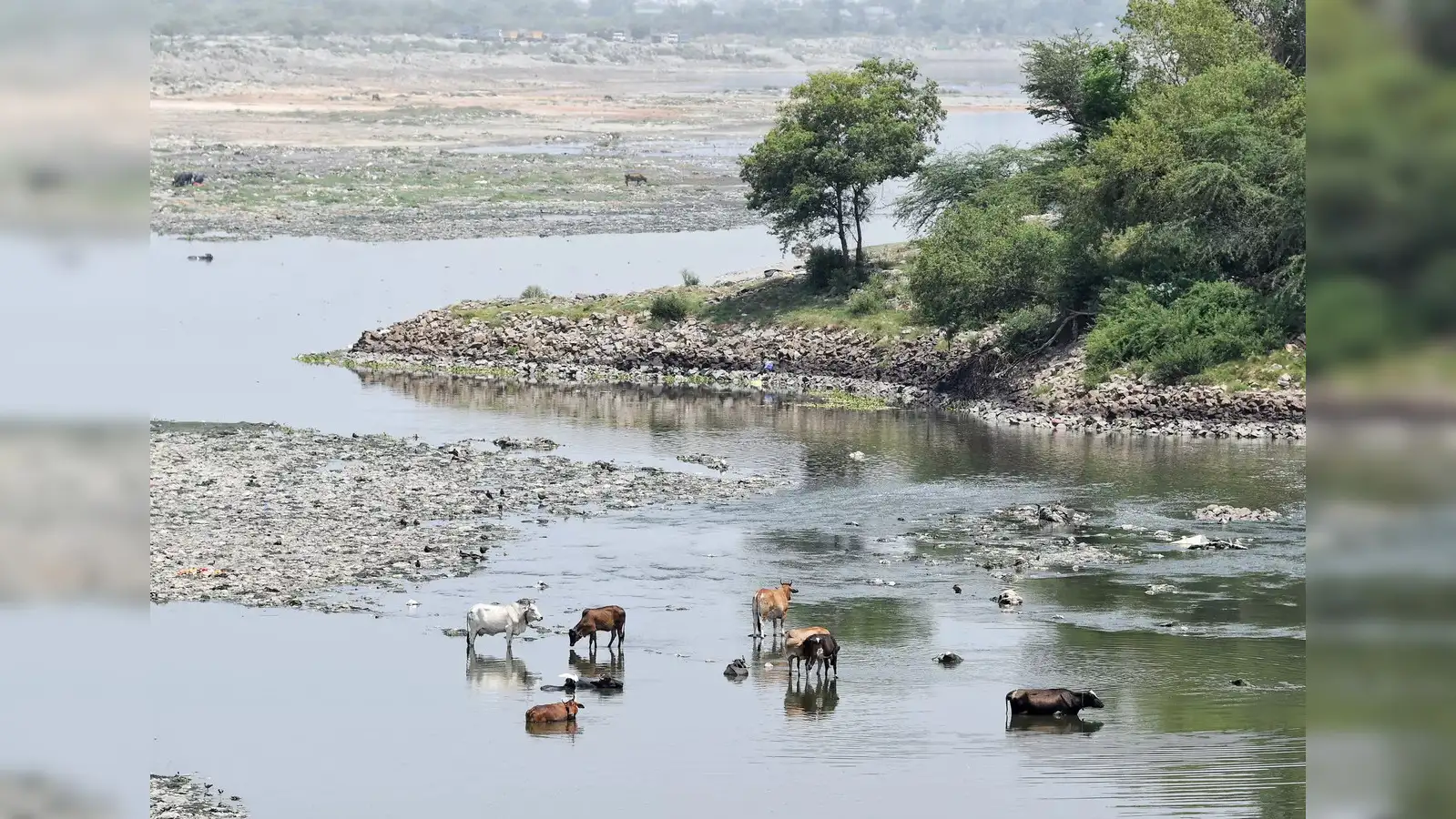 Yamuna River Location