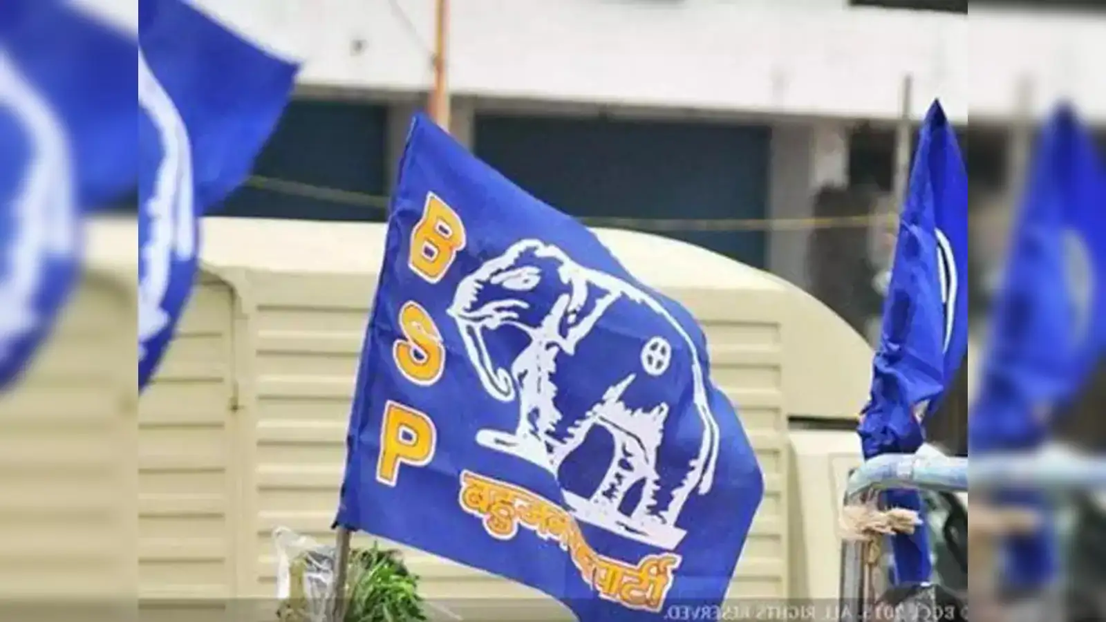 Bsp Name Logo