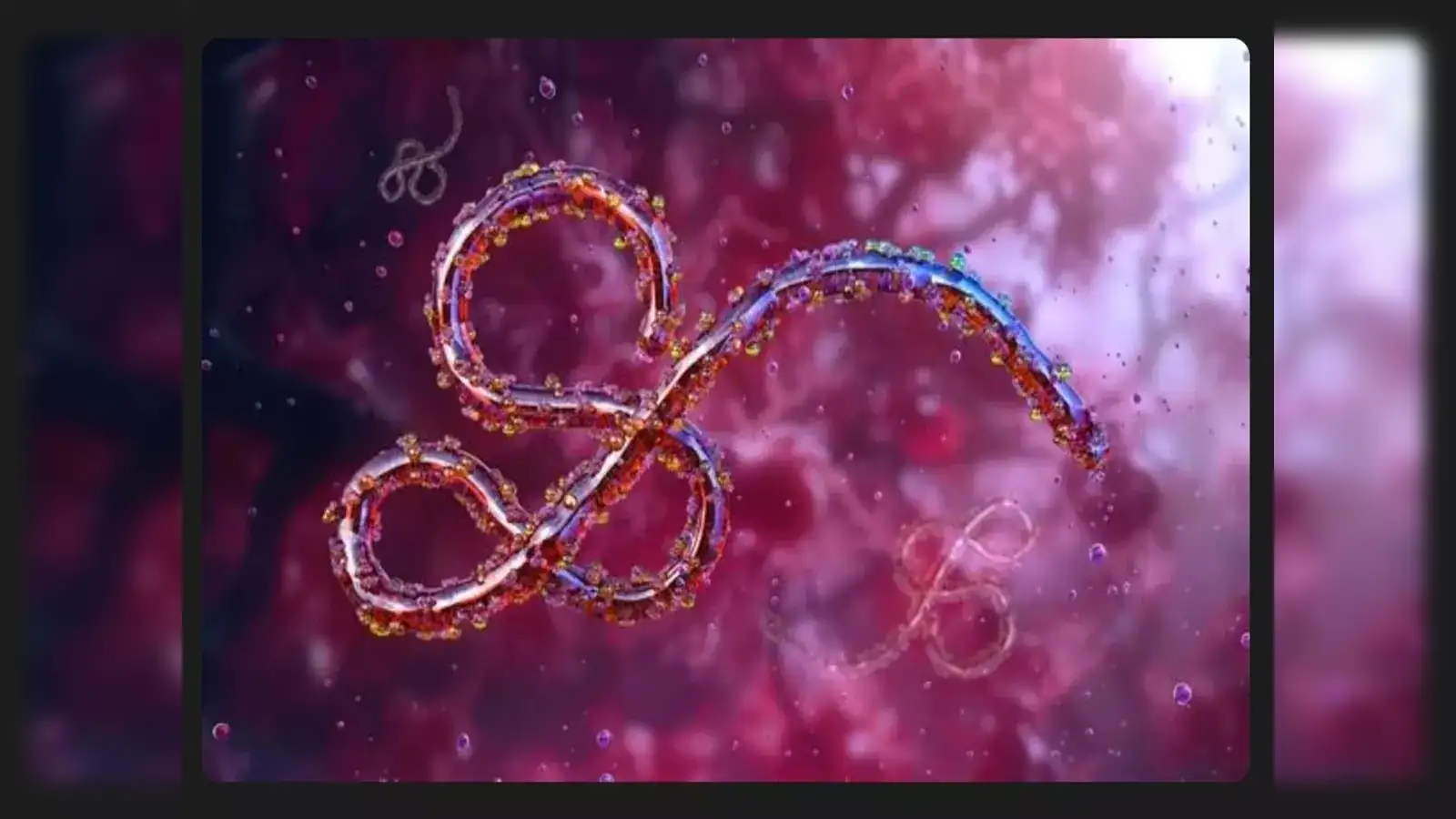 Ebola Virus Wallpaper