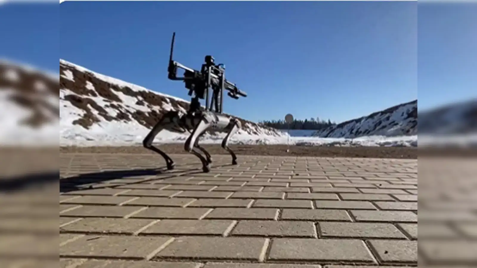 Dog With Machine Gun