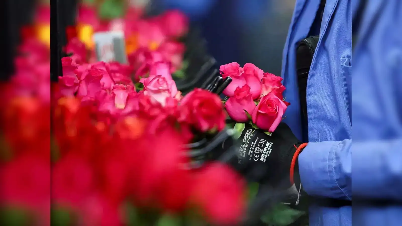 Many Months Since February 14 Valentine’s Day 2025: History ...