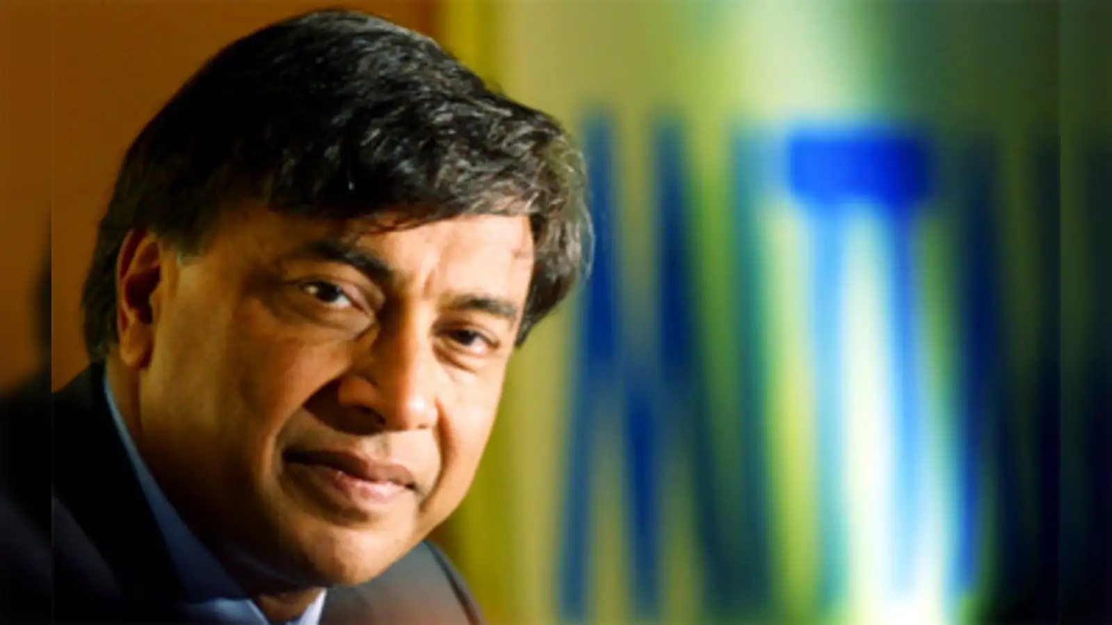 Megha Mittal Wedding Revival Of Fortune: Megha Mittal, The Woman