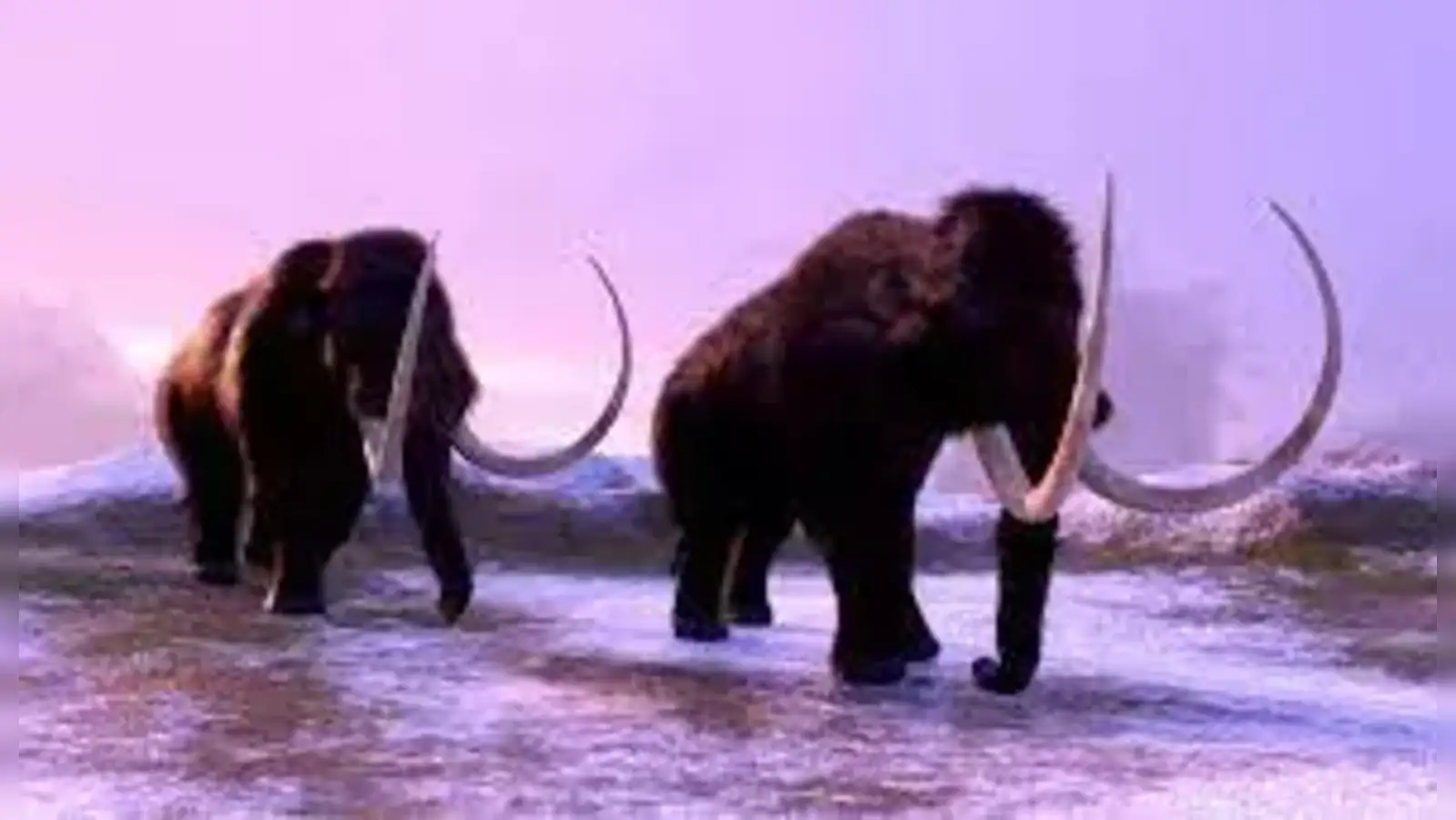 Mammoth Baran Flinders (New Earth) | DC Database | Fandom
