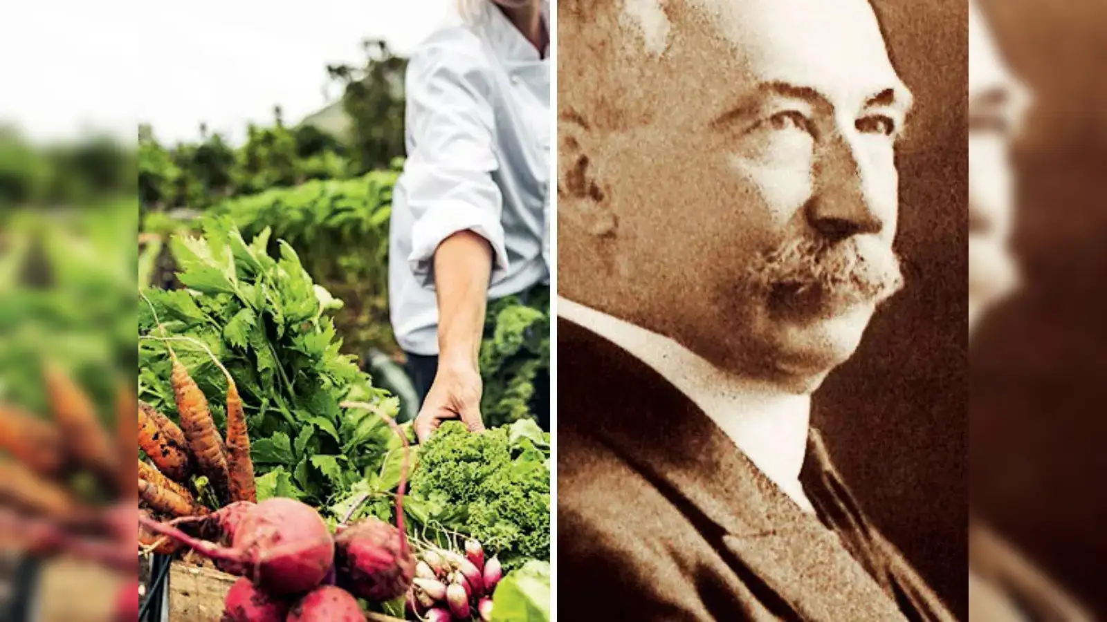 Albert Howard's Instagram, Twitter & Facebook on IDCrawl