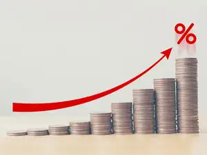 Voluntary Provident Fund (VPF): Should you hike VPF contribution?