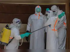Ebola anxiety puts a chill on Indian travellers' hot Africa summer ...