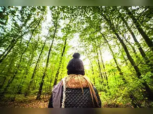 Spending time in a forest - The Economic Times