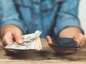 outward remittance: Here's what forms the bulk of outward remittances ...