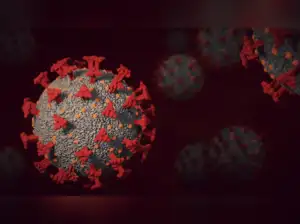 Be wary of BF.7 variant - The Economic Times