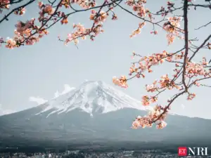Why it feels like everyone in the world is heading to Japan right now ...