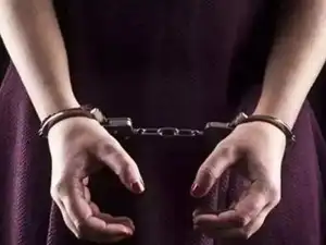 Indian couple in New Zealand admit $2 million fraud on Ministry for ...