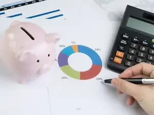How to make a smooth transition from a double income family to a single ...