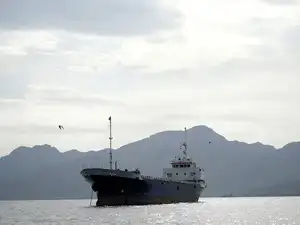 US Navy coordinates rescue of 14 Indian nationals from sinking dhow off ...