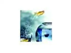 Faith lifter - The Economic Times