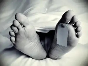 Andhra techie dies while visiting waterfall in California with friends ...