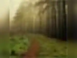 The path less taken - The Economic Times