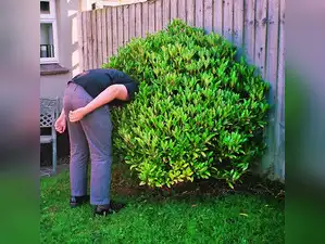 Dog Dribble: Getdown Services - The Economic Times