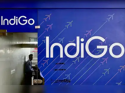 indigo ltd