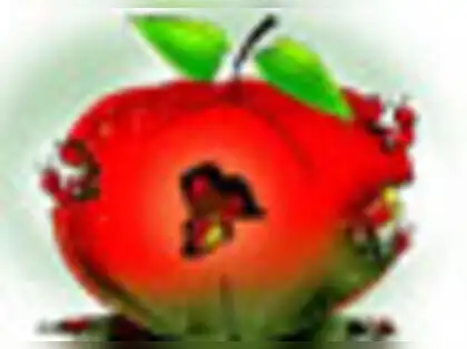 The cancer of corruption - The Economic Times