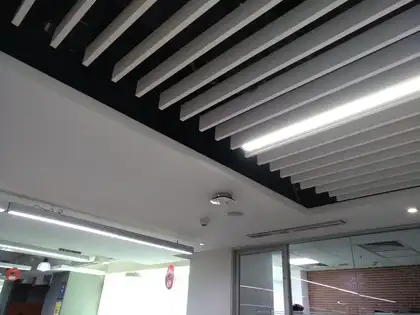 Fur Down Ceiling Definition | Shelly Lighting