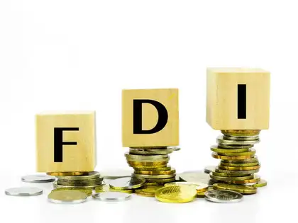 foreign direct investment: FDI doesn't reflect India's performance: Why ...