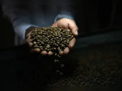 coffee beans article