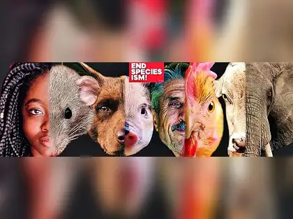 Embrace the spirits of 100 bn animals - The Economic Times