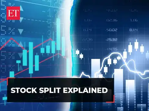 ET Learn Stock Market, Mutual Funds & Investment Styles : Learning ...
