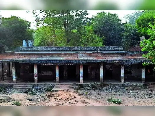 nma: ASI and NMA need a new avatar to conserve and protect India's ...