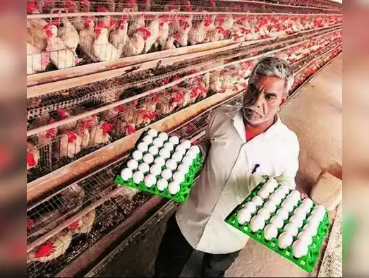 View: More investments and reforms are required as inflation rises on ...