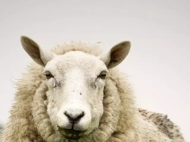 Covid Death in China: China reels under winter Covid wave, could see ...