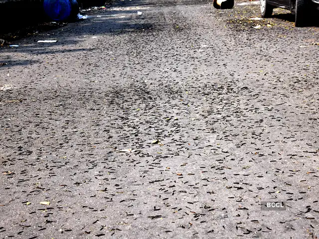 Giant bug found in Arkansas by university scientist is a rare Jurassic ...