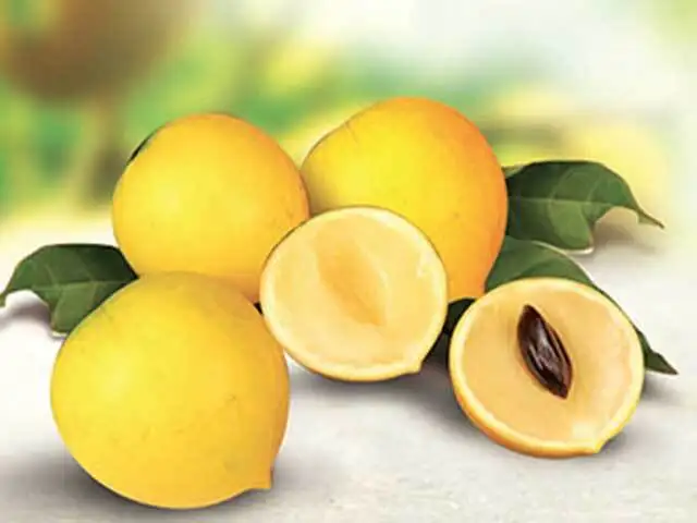 Tropical Fruits Of Kerala