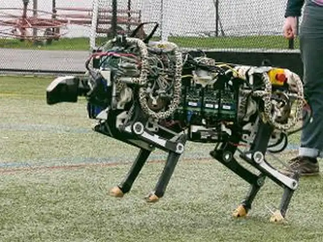 MIT Engineers Have High Hopes For Cheetah Robot The Boston, 46% OFF