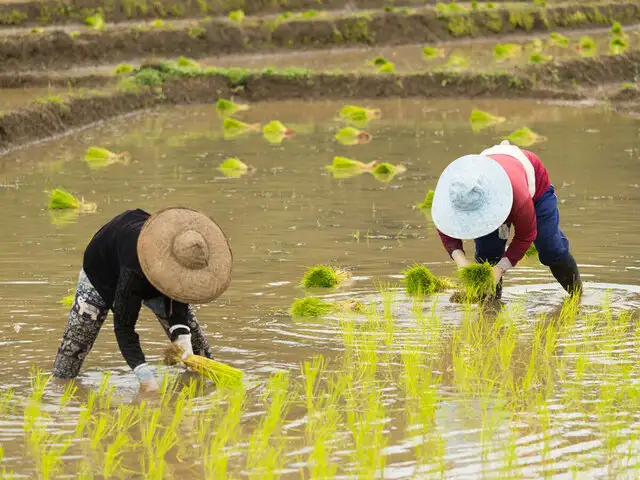 Kingshurst lake: Kingshurst neighbourhood shaken by deaths of children ...