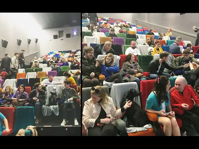 Dogs: Can't resist those puppy eyes? Dogs evolved facial muscles to ...