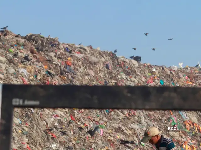 Seattle air quality: Seattle records world's worst air quality amid ...