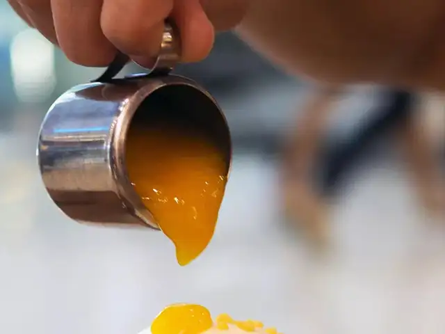 Shylah Rodden Accident News: Shylah Rodden's accident on roller coaster ...