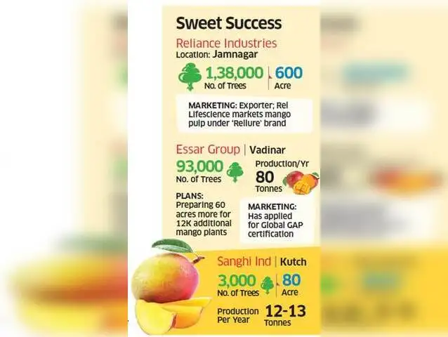kesar mango farming profit per acre
