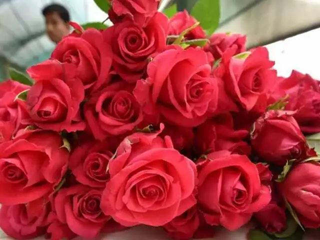 Flower Export Business In Bangalore | Best Flower Site