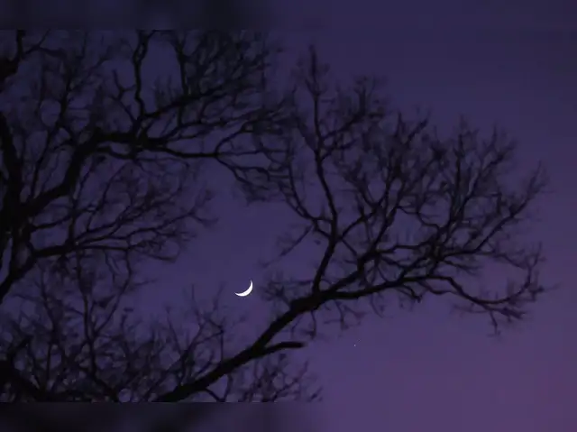 venus has dash moons